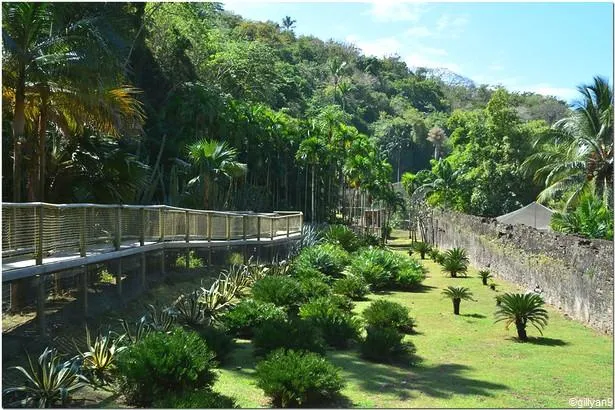 Zoo de Martinique | Antilles location
